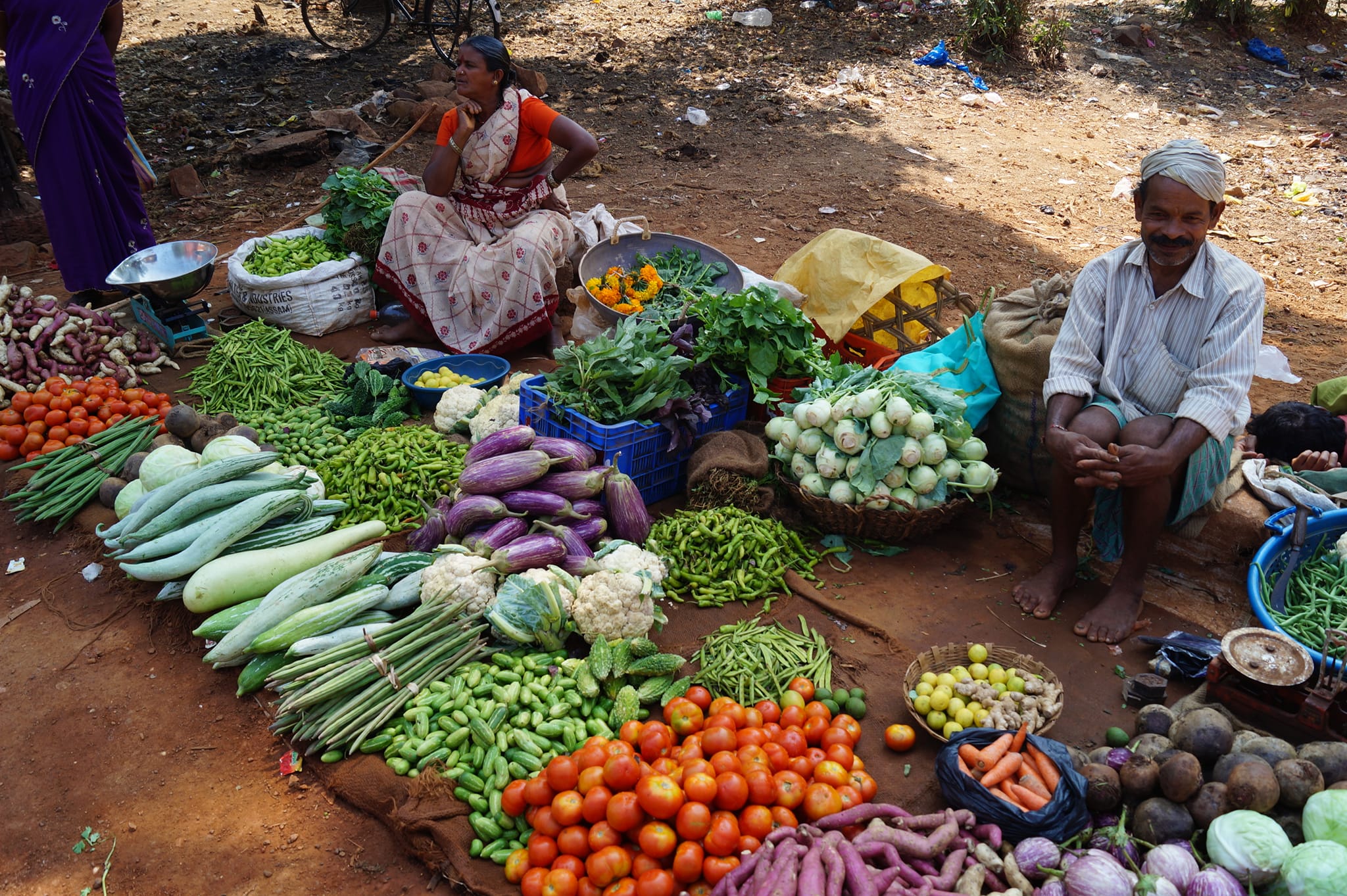 ಮುಂಬೈ ಶಿವರಾತ್ರಿ ಉಪವಾಸಕ್ಕೆ ಗೋಕರ್ಣ ಗೆಣಸು - Agriculture India