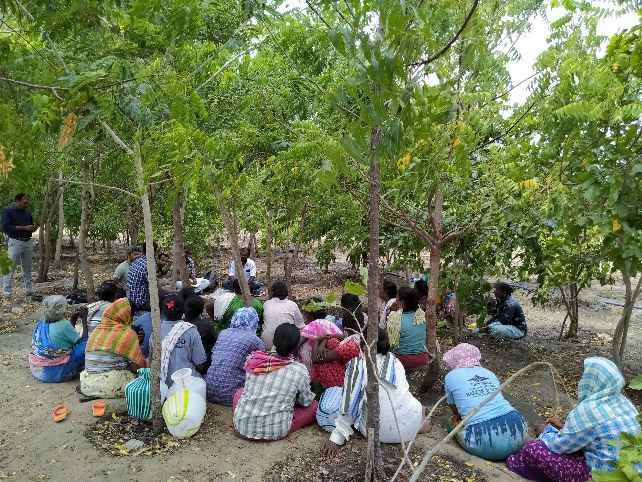 ಬಳ್ಳಾರಿ ಜಾಲಿ ತೆಗೆದು ಮಿಯಾವಾಕಿ ಅರಣ್ಯ ನಿರ್ಮಿಸಿದ ಸಾಹಸ ! - Agriculture India