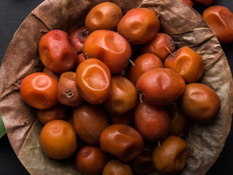 ಸ್ಥಳೀಯ ಪ್ರಬೇಧದ ಸಸ್ಯಗಳ ಲಾಭಾಂಶಗಳ ಬಗ್ಗೆ ಗೊತ್ತೆ - Agriculture India